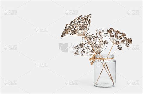 在白色背景的玻璃罐中，用莳萝做成的干伞