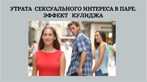 Почему мужчина теряет интерес в сексе Брак Эффект Кулиджа Youtube