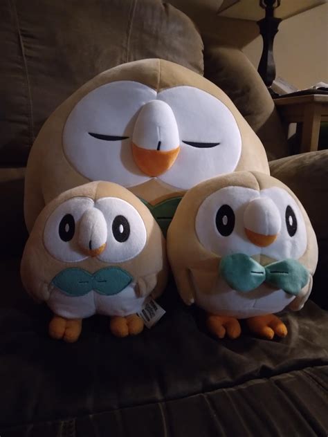 The Sizes Differences Between My Rowlet Is Crazy Rpokeplush