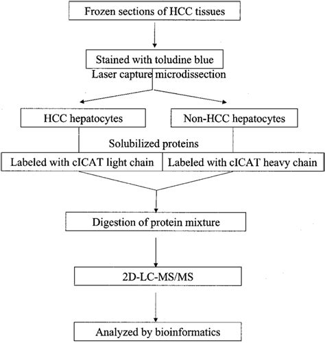 Outline Of Accurate Qualitative And Quantitative Proteomic Analysis Of Download Scientific