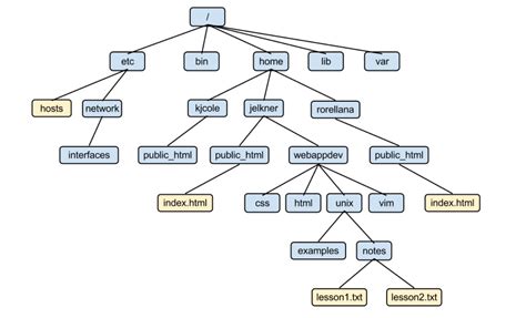 Solved Observe The Given File Structure And Answer The Chegg Com