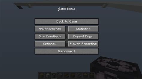 I Found A Wierd Bug Rminecraft