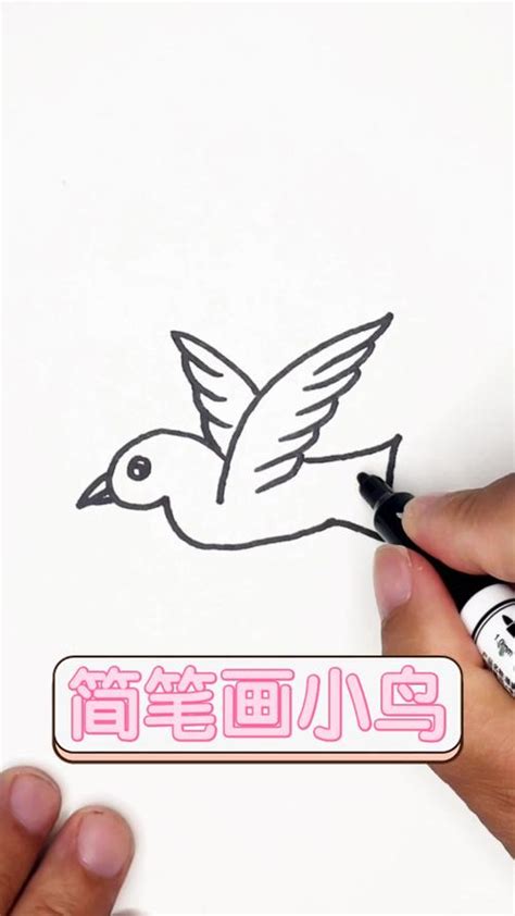 简笔画小鸟怎么画 简笔画小鸟怎么画可爱 画趣文库（我爱生活）