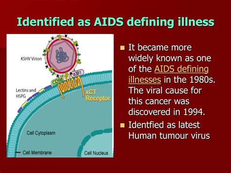 Ppt Kaposis Sarcoma Powerpoint Presentation Free Download Id5841