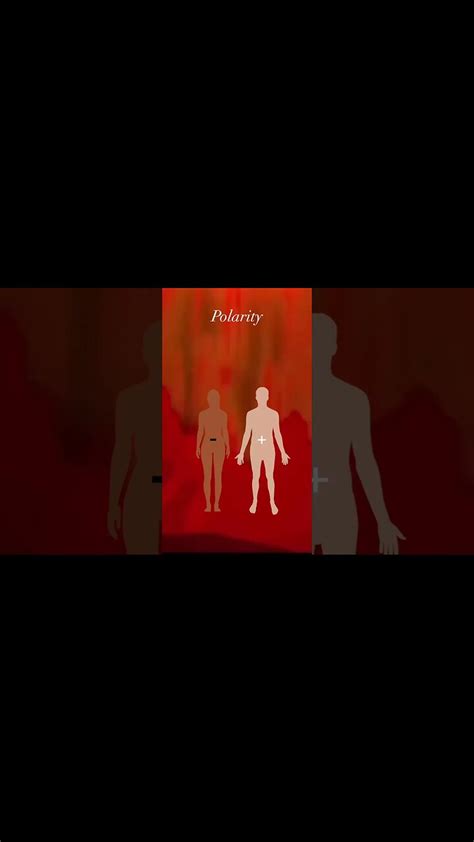 The Polarity Of Sex Gender Gigi Young