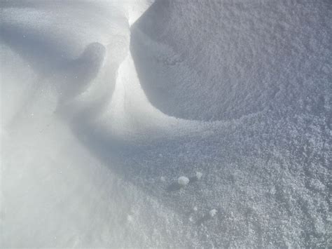 Fresh Powder Snow Sparkle Free Photo On Pixabay Pixabay