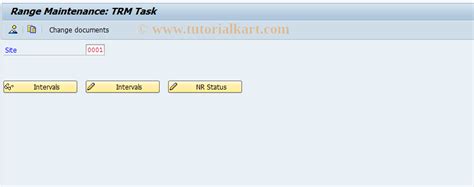LNRTK SAP Tcode Number Range Maintenance TRM TASK