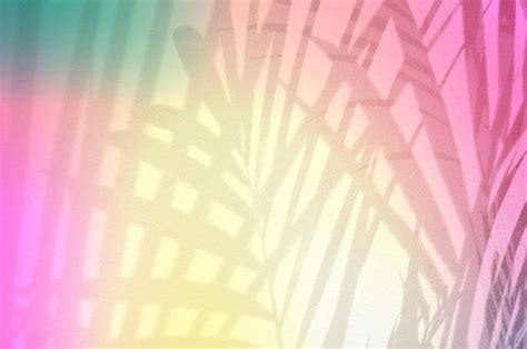 빛과 그림자 잎 화려한 색상 그런 지 벽 콘크리트 배경에 야자수 잎 실루엣 추상 열대 잎 내츄럴 무늬 여름 감촉 카피 스페이스