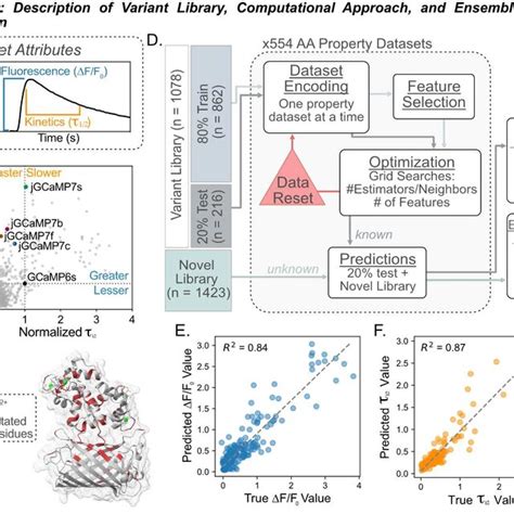 Description Of Variant Library Computational Approach And Ensemble