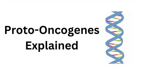 Proto Oncogenes Explained How Mutations Fuel Cancer Growth