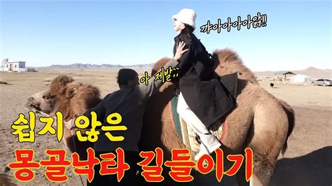 🇲🇳몽골여행 1부 비수기 몽골 여행 Day1 세상에서 가장 깨끗한 똥 밤하늘의 퍼어얼 Youtube