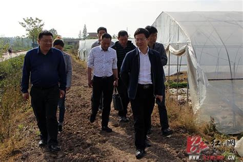 吴兴国到联点村调研指导脱贫攻坚工作本地要闻安乡新闻网