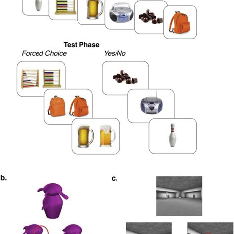 Schematic Of The Experimental Paradigms A Recognition Memory Task