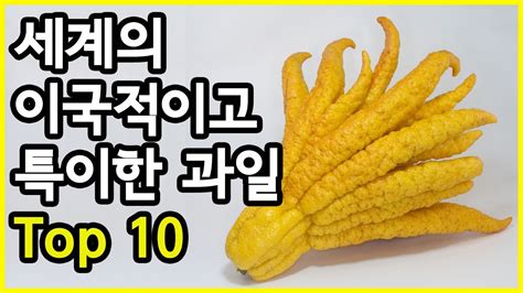 몇 가지를 드셔봤습니까 세계에서 가장 이국적이고 특이한 과일 Top 10 Youtube