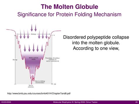 Ppt Protein Folding Energetics Kinetics And Models Powerpoint