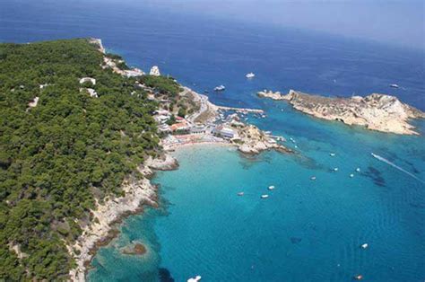Misericordia Inviare Regola Isola Di San Domino Spiagge Conferenza Tesa