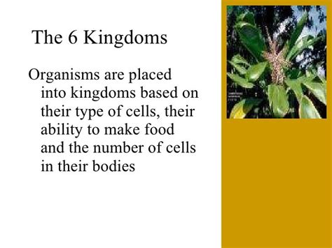 The6 Kingdomsclassificationnotes4