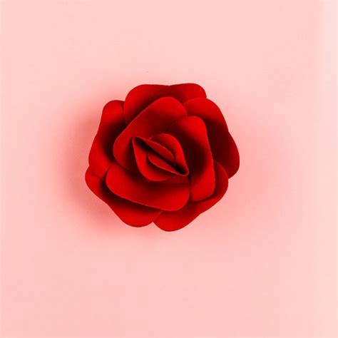 장미 크리 에이 티브 종이 절단 슈팅 소품 꽃 Papercut 쥬얼리 화장품 배경 사진 Props 빨간색