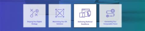 delivering technical excellence and digital solutions with sitecore cms