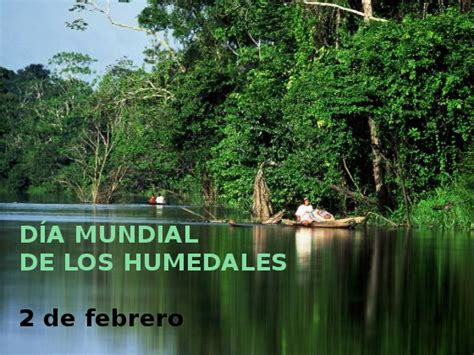 Sociologia Politica DÍa Mundial De Los Humedales 2021 Los Humedales
