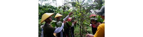 Mahasiswa Baru Instiper Yogyakarta Dikenalkan Berbagai Komoditas