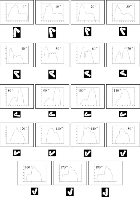 The Horizontal Projection Vectors Obtained For A Sample Highly Curved