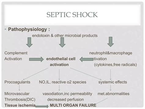 Pathophysiology Of Shock Pptx