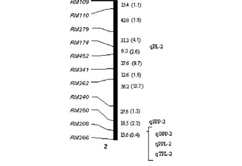 Putative Quantitative Trait Loci Associated With Yield Related Traits
