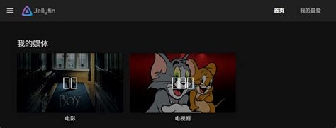Unraid下Jellyfin封面字幕乱码解决 dwf135
