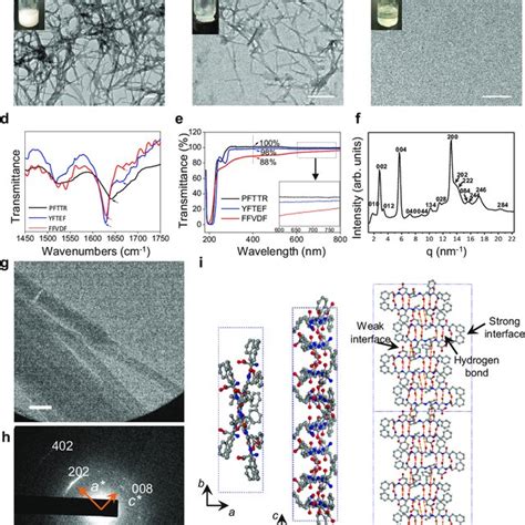 Structural Characterization Of Identified Self Assembling Download