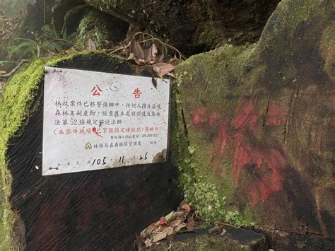 【嘉義】蛟龍谷走石夢谷 山林悲歌 健行筆記