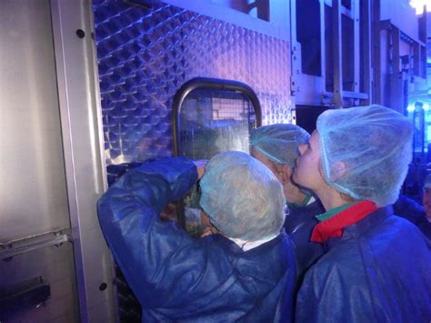 Visit of a poultry slaughterhouse using a multi-stage CO2 gas stunning system - Eyes on Animals
