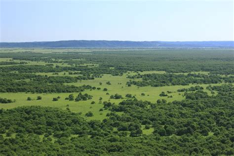 Pin On Landscape
