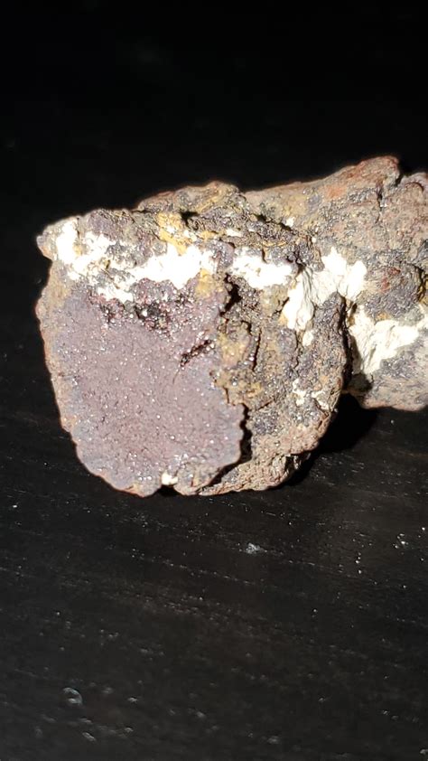 Coprolite With Crystals General Fossil Discussion The Fossil Forum