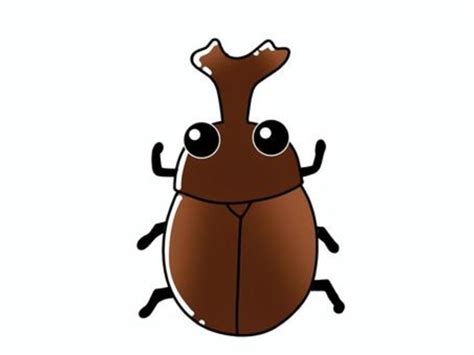 곤충약혐 한국인 927가 본적 없다는 장수풍뎅이 속살 유머 게시판