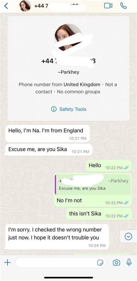 Pig Butchering Romance Scam Rscammer