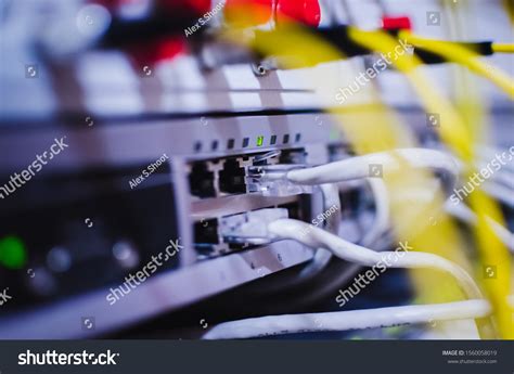 Network Switch Ethernet Cable Server Room Stock Photo 1560058019 Shutterstock