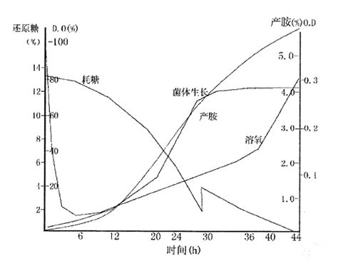 Fermentation Method For Producing Glutamine Eureka Patsnap