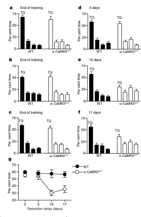 Figure 2 From A Camkii Dependent Plasticity In The Cortex Is Required