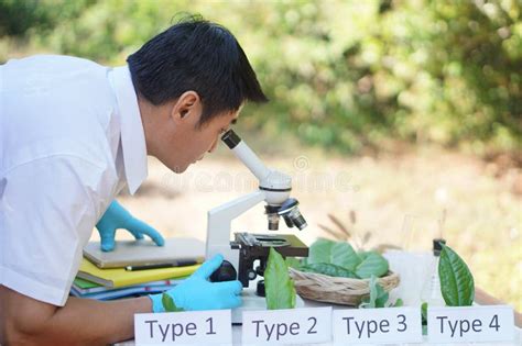Asian Man Is Doing Science Experiment Using Microscope To Inspect