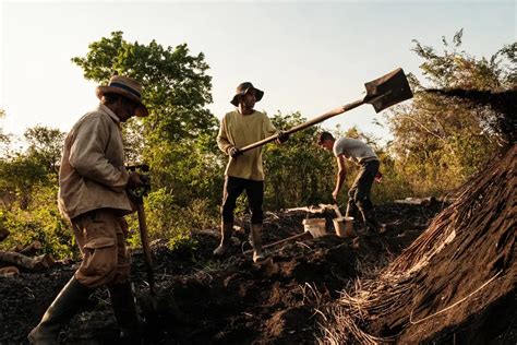 Denise Pensky Photographer All About Photo