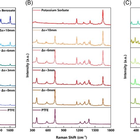 diagram of the spatially offset raman spectroscopy system optical path