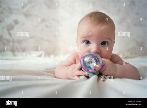 Cute Happy Baby Thumb Sucking And Plays A Rattle Stock Photo Alamy