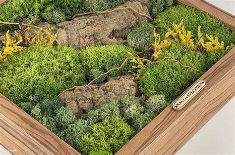 Moss Frame Diy Workshop In Johor Bahru Klook