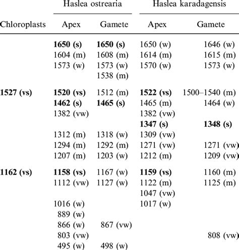 Summary Of Representative Vibrational Wave Numbers Cm À1 Observed