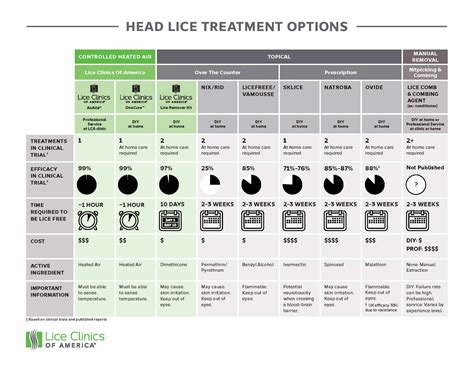Head Lice Treatment