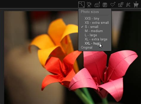 progress on piwigo 2 4 updates the blog