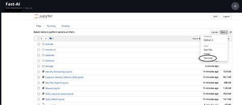 error intro chapter 1 part 1 2020 fast ai course forums