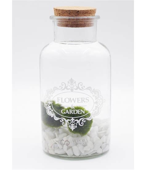 Alghe Marimo Shop Online Alga Marimo Lovers