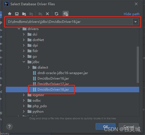 idea连接数据库教程：达梦与mysql配置 csdn博客